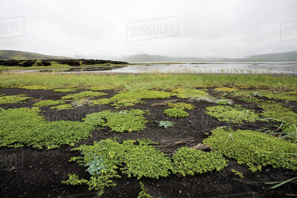 Dyrh laey peninsula, Iceland - Royalty-free Stock Photo | Dissolve