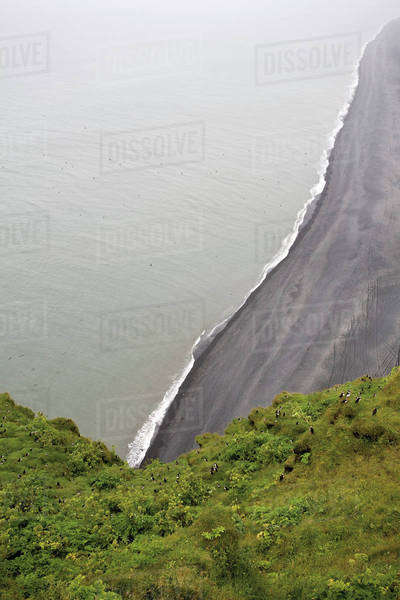 Elevated view of black sand beach, Dyrh laey peninsula, Iceland ...