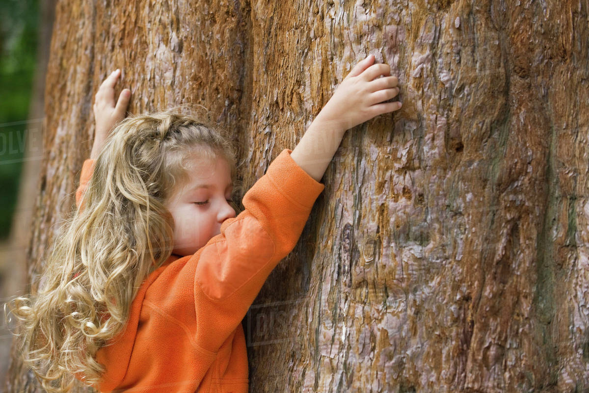 Little girl touching tree trunk - Royalty-free Stock Photo | Dissolve