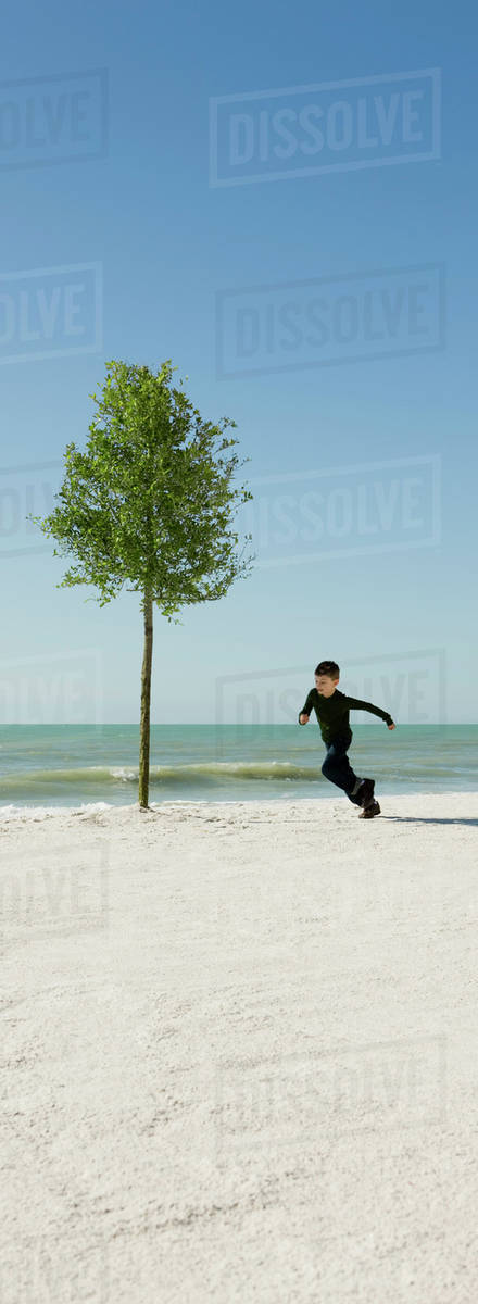 Boy running around tree growing on beach - Royalty-free Stock Photo ...