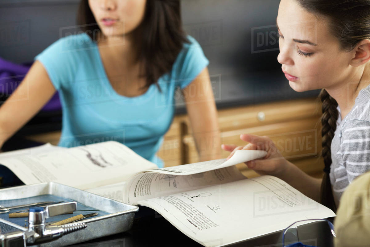 Students studying in science class - Royalty-free Stock Photo | Dissolve