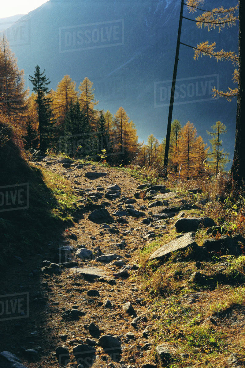 Mountain path - Royalty-free Stock Photo | Dissolve