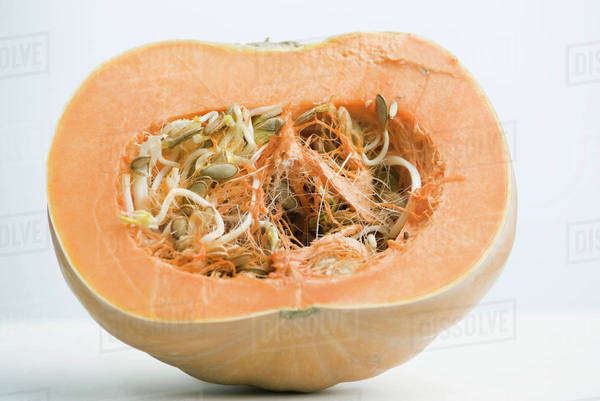 Sprouting pumpkin seeds and fibrous strands within cut pumpkin, cross ...