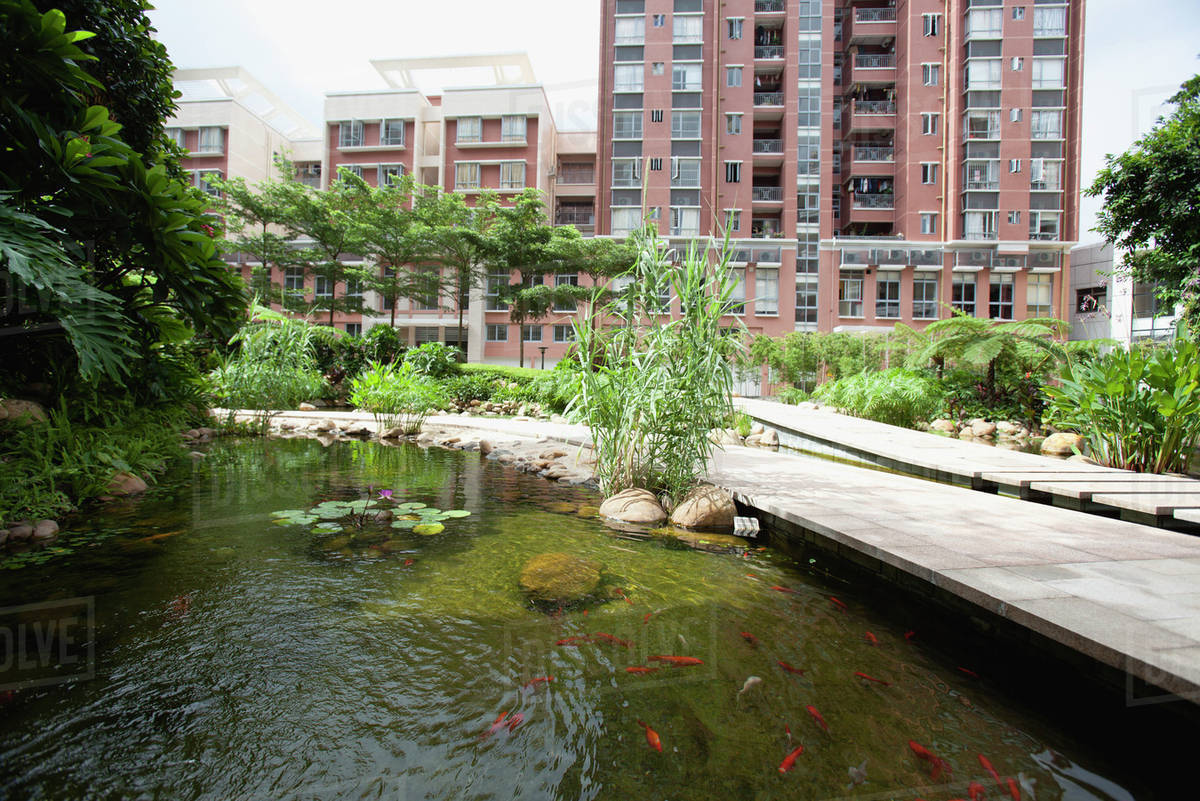 Fish pond in urban park - Royalty-free Stock Photo | Dissolve