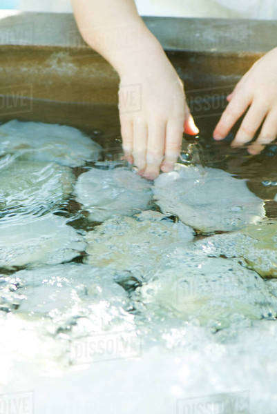 Child touching rocks in shallow pool, cropped view - Stock Photo - Dissolve