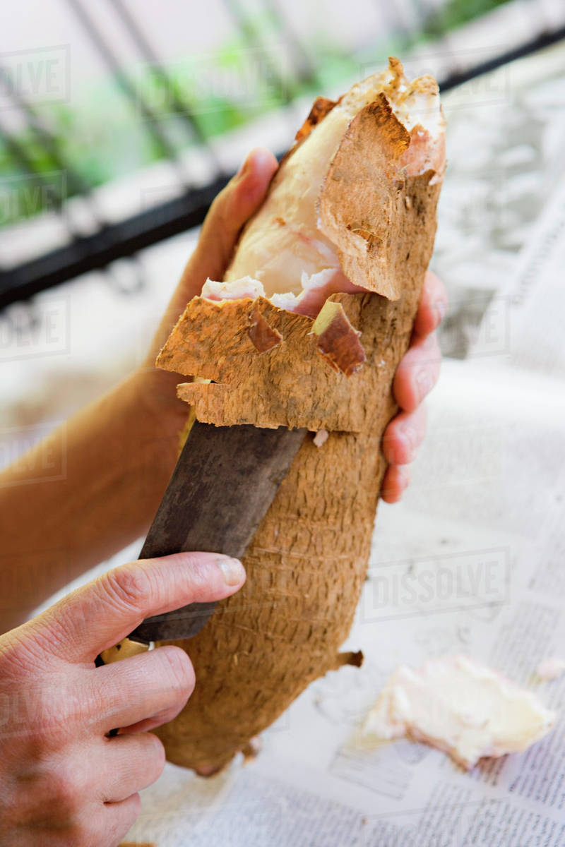 Peeling cassava - Royalty-free Stock Photo | Dissolve