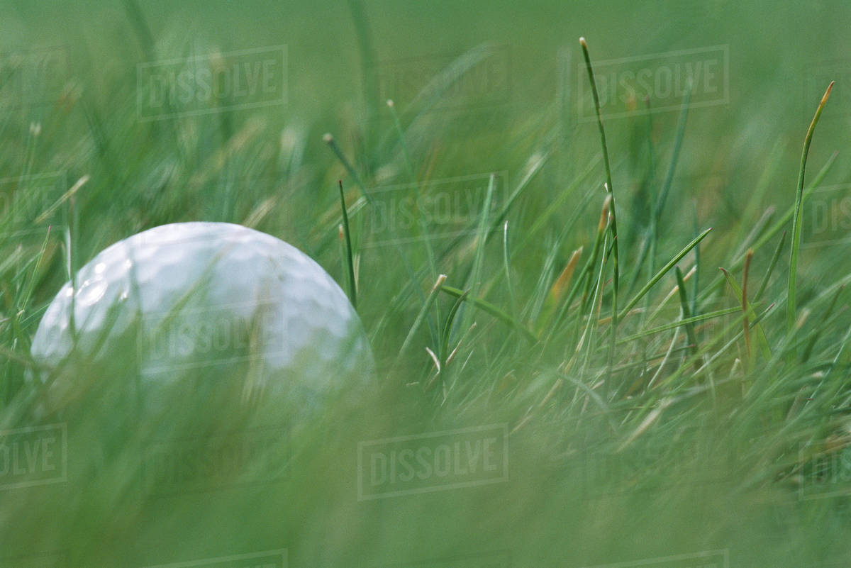 Golf ball in grass, extreme close-up - Royalty-free Stock Photo | Dissolve