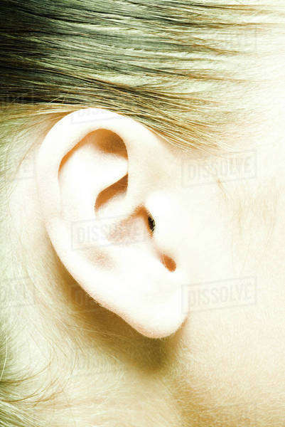 Female ear, extreme close-up - Stock Photo - Dissolve