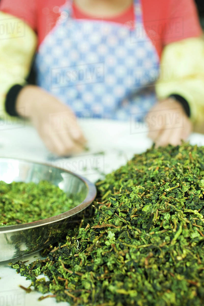 Woman sorting tea leaves, cropped view - Royalty-free Stock Photo ...