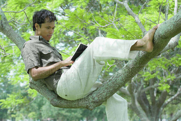 Man sitting in tree, reading book - Royalty-free Stock Photo | Dissolve