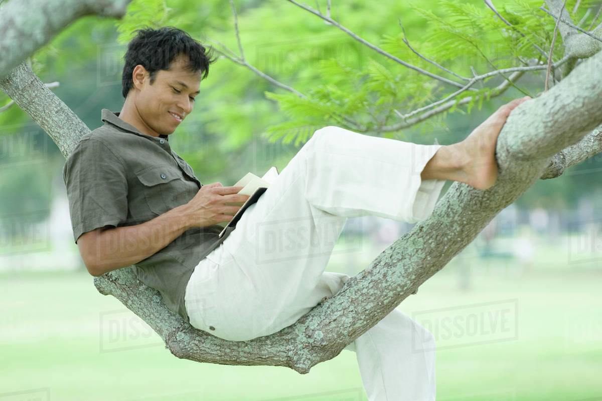 Man sitting in tree, reading book - Stock Photo - Dissolve