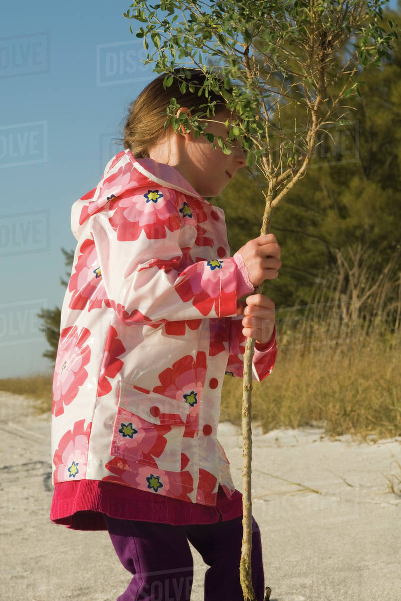 Girl picking up tree sapling by trunk - Royalty-free Stock Photo | Dissolve