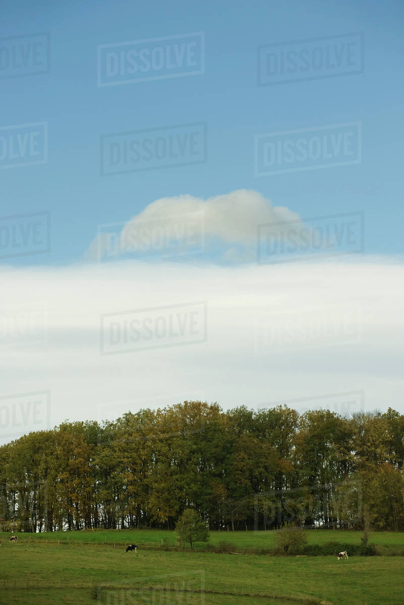 Blue sky over rural pasture - Stock Photo - Dissolve