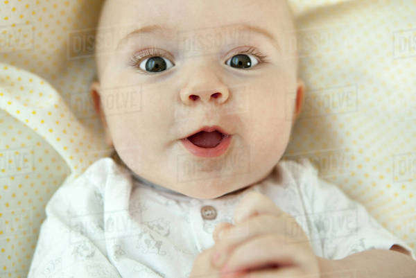 Baby, portrait - Stock Photo - Dissolve