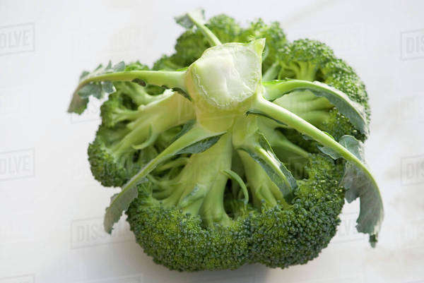 Broccoli crown - Royalty-free Stock Photo | Dissolve