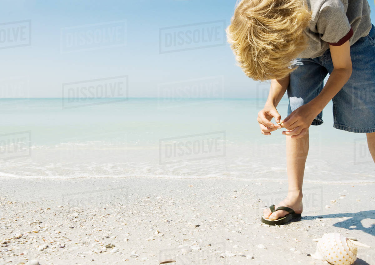 Child picking up seashells on beach - Royalty-free Stock Photo | Dissolve