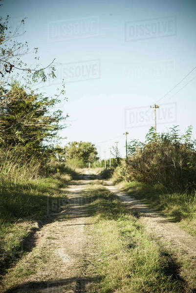 Dirt road - Stock Photo - Dissolve