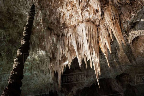 Stalactites hang from the ceiling of a cave in Carlsbad Caverns ...
