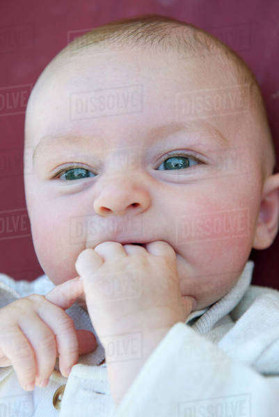 Baby biting hand, high angle view - Stock Photo - Dissolve