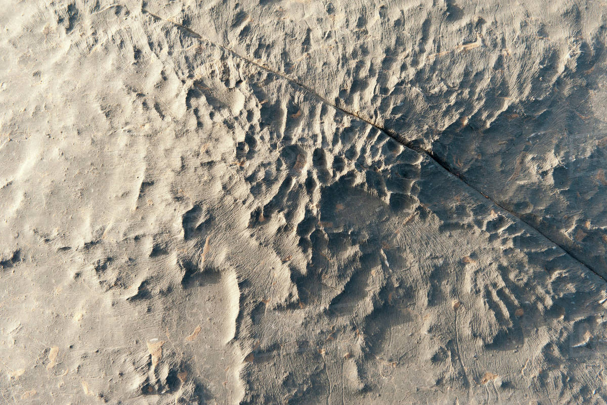 Desert ground, close-up - Royalty-free Stock Photo | Dissolve