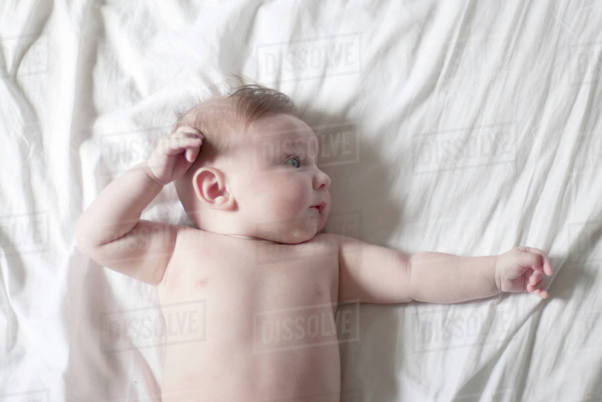 Baby lying on back, portrait - Royalty-free Stock Photo | Dissolve