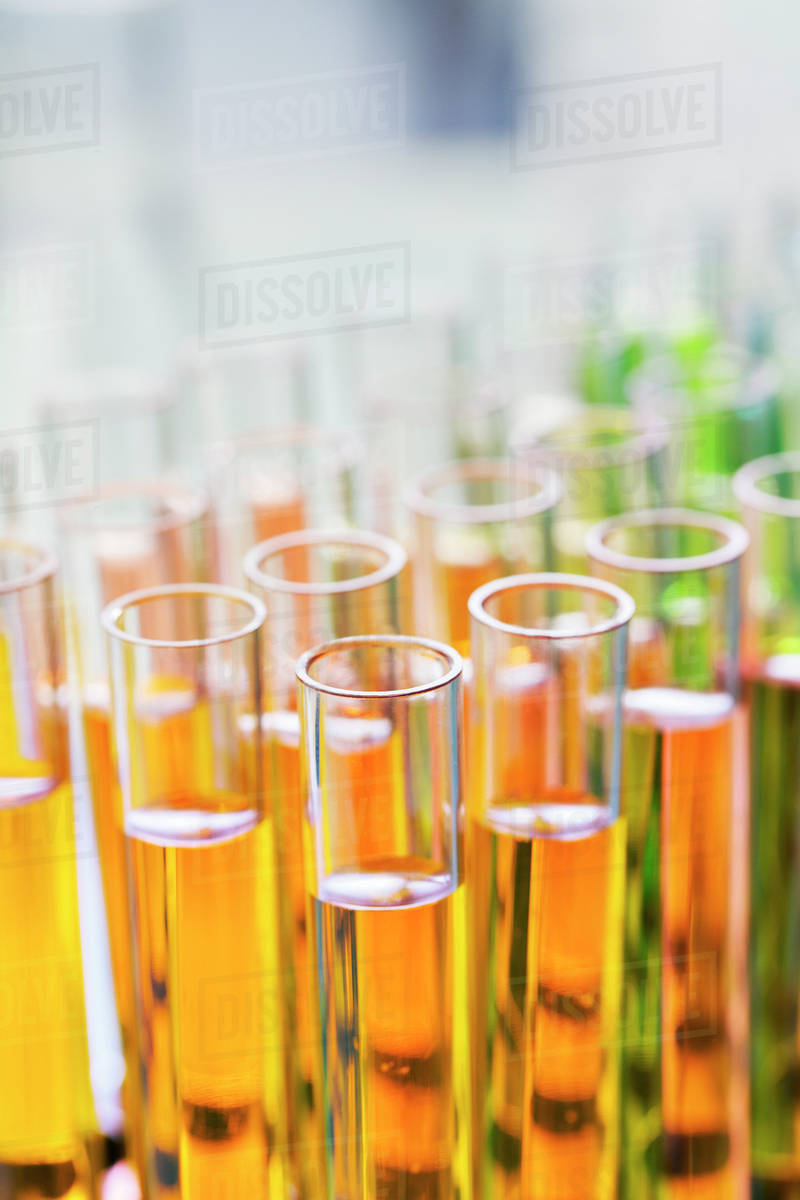 Close up of rack of test tubes with solution - Royalty-free Stock Photo ...