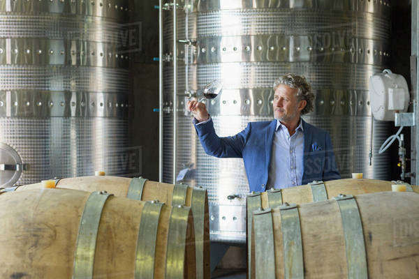 Vintner examining red wine in winery cellar - Royalty-free Stock Photo ...