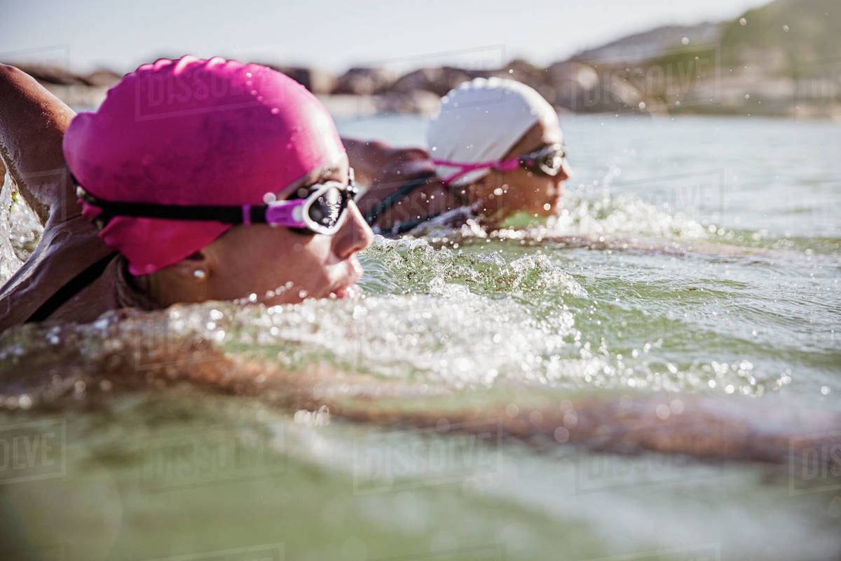 Female open water swimmers swimming in sunny ocean - Stock Photo - Dissolve