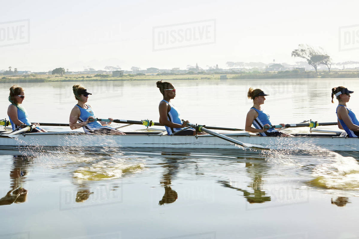 Female rowing team rowing scull on sunny lake - Royalty-free Stock ...
