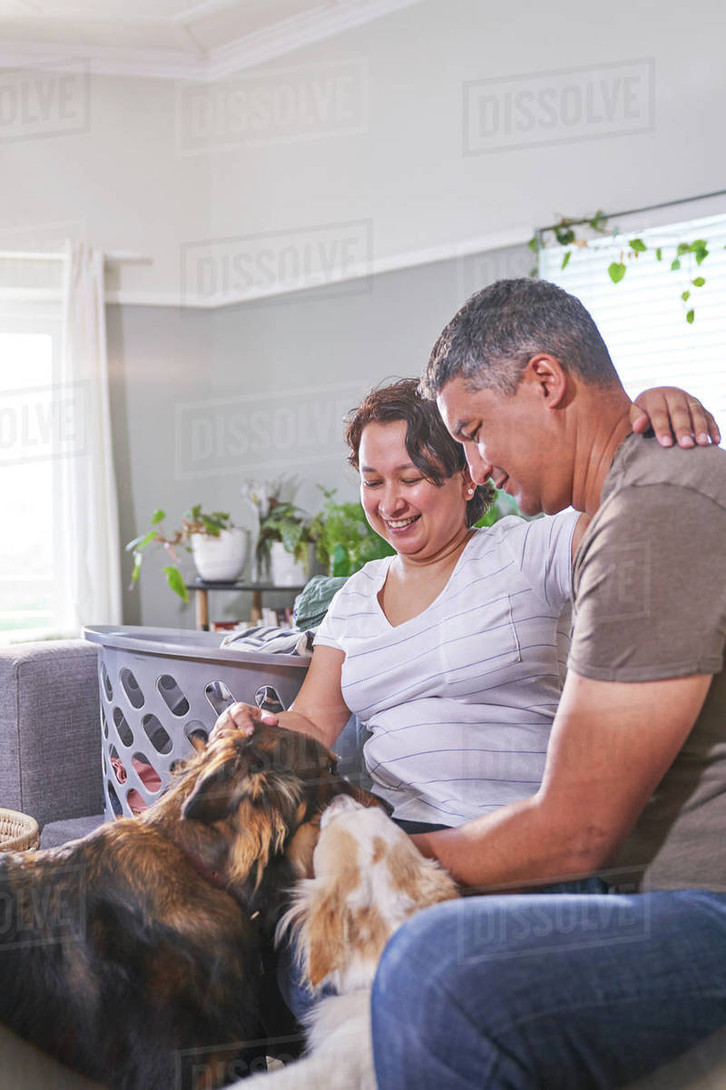 Affectionate couple petting dogs in living room - Royalty-free Stock ...