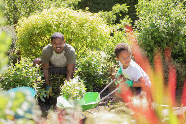 Father and son gardening in sunny summer garden - Stock Photo - Dissolve