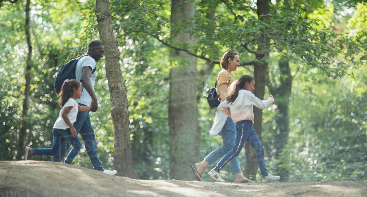 Family hiking past trees in summer woods - Stock Photo - Dissolve