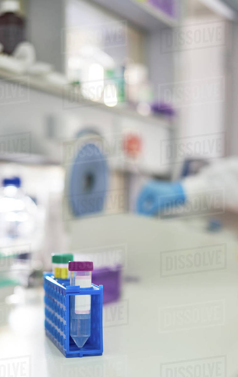 Specimens in rack on laboratory counter - Stock Photo - Dissolve