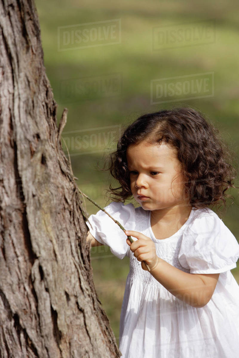 Little girl looking at tree - Royalty-free Stock Photo | Dissolve