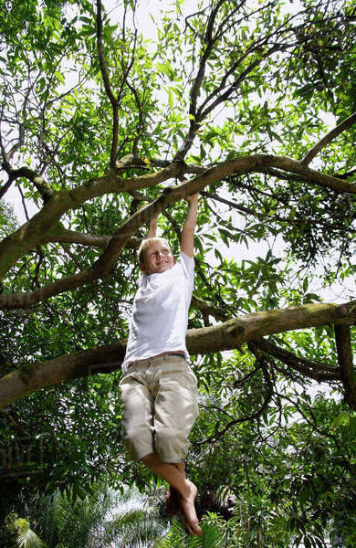 Young boy hanging from tree - Royalty-free Stock Photo | Dissolve