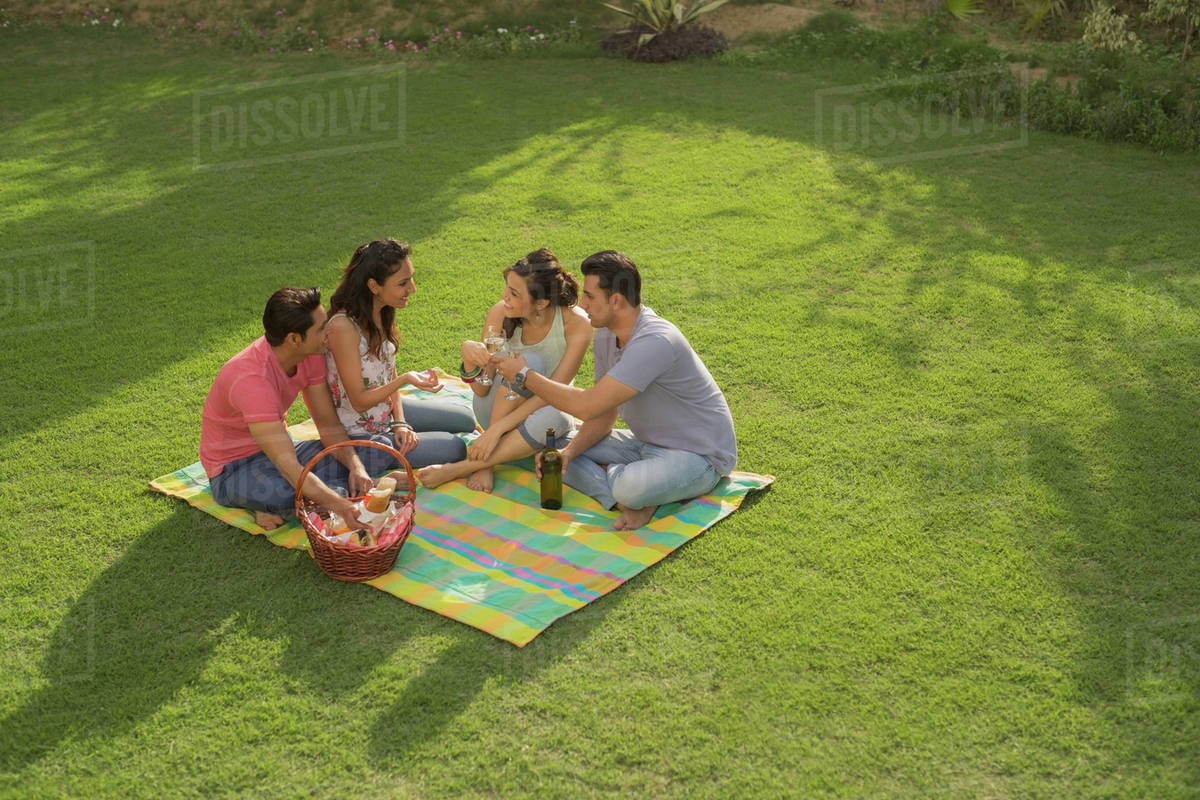 Group of friends at picnic - Royalty-free Stock Photo | Dissolve
