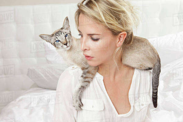 A Siamese cat wrapped around his owners shoulders - Royalty-free Stock ...
