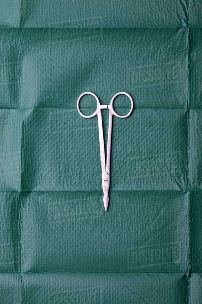 A pair of surgical scissors on a surgical drape - Stock Photo - Dissolve