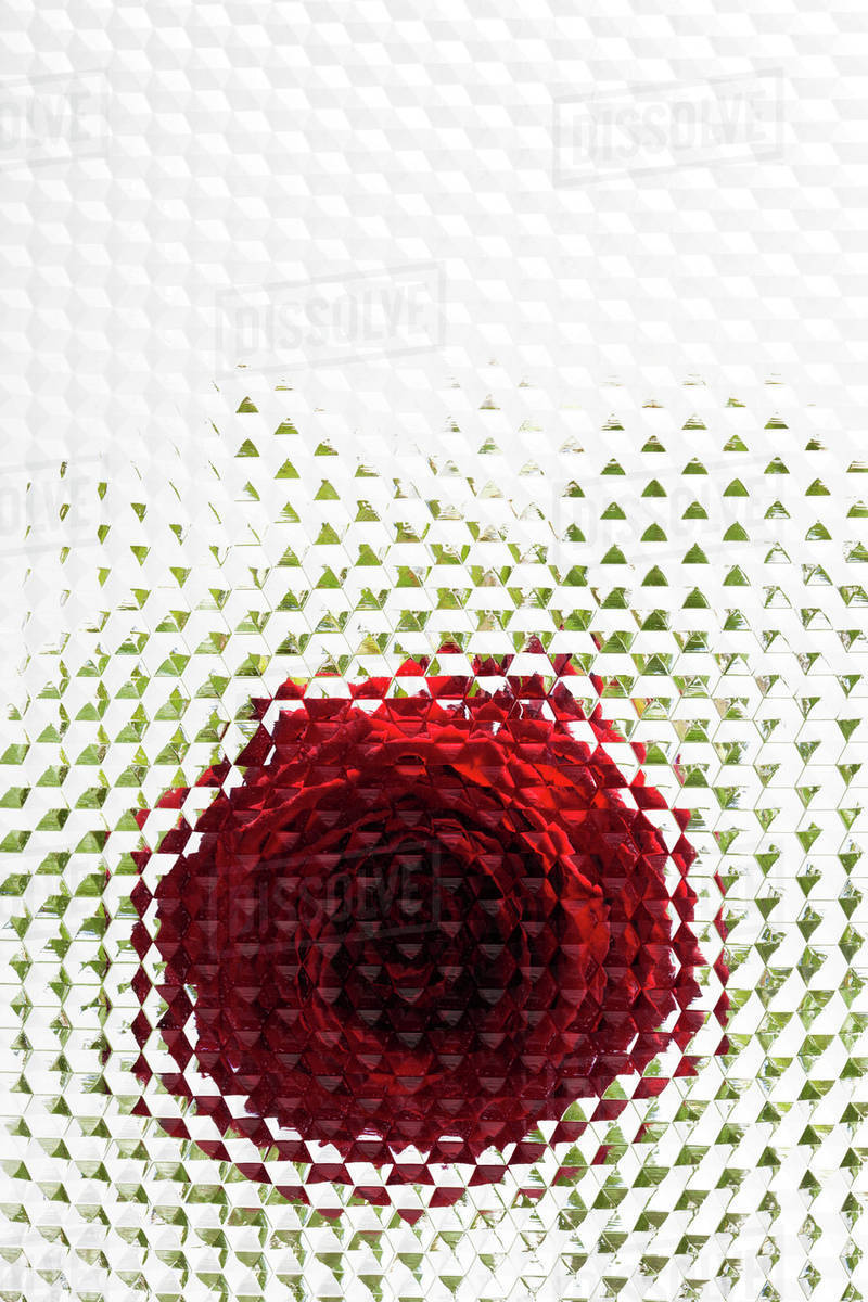 A rose seen behind beveled glass with hexagon pattern - Stock Photo ...