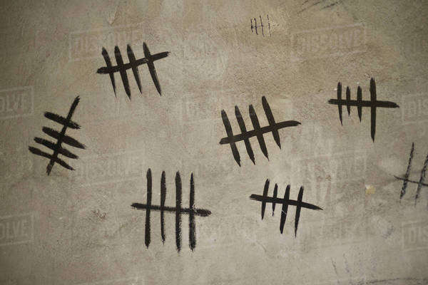 Counting with tally marks on wall, close-up - Stock Photo - Dissolve