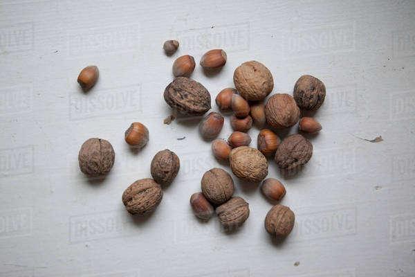 High angle view of nuts - Royalty-free Stock Photo | Dissolve