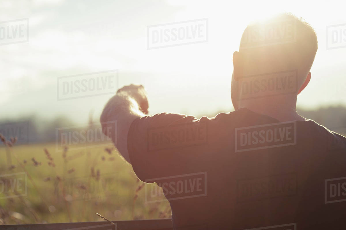 Rear view of man pointing at field on sunny day - Royalty-free Stock ...