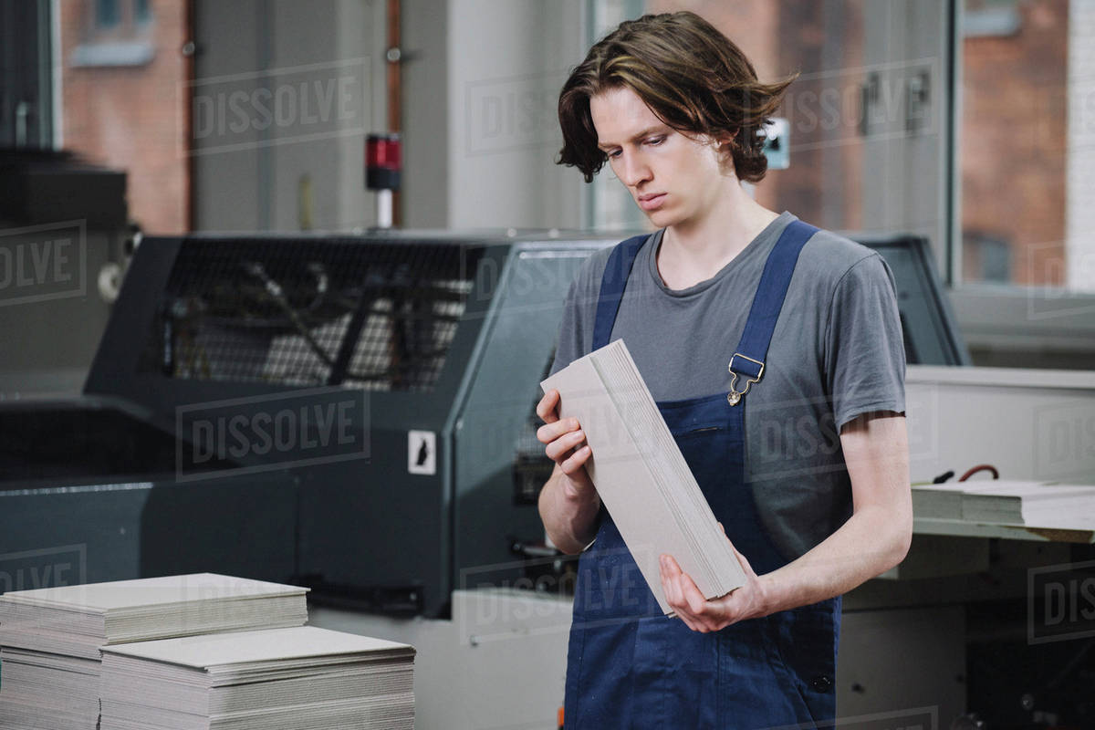 Young manual worker examining cardboard sheets in factory - Stock Photo ...