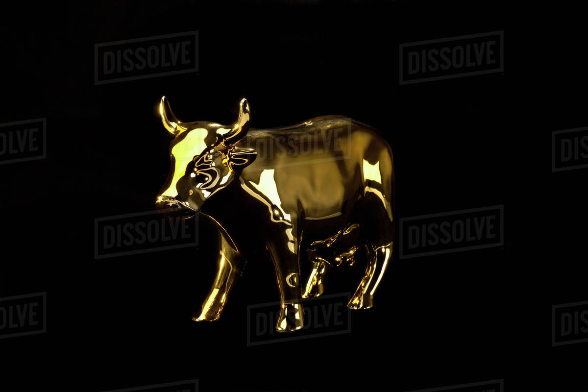 A golden bull - Stock Photo - Dissolve