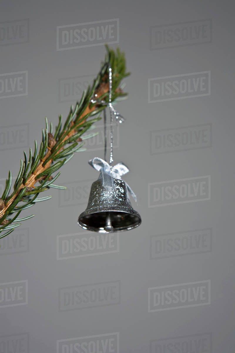 A silver bell hanging from a tree branch - Stock Photo - Dissolve