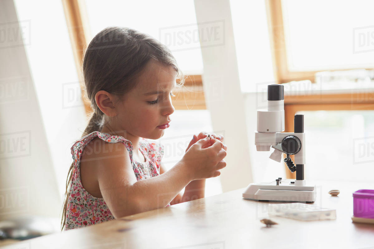 Curious girl looking at specimen with microscope on table at home ...