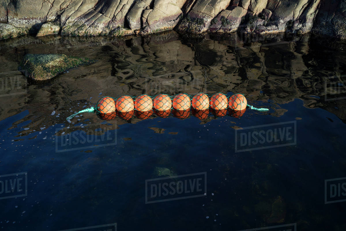 High angle view of orange buoy floating on water - Royalty-free Stock ...