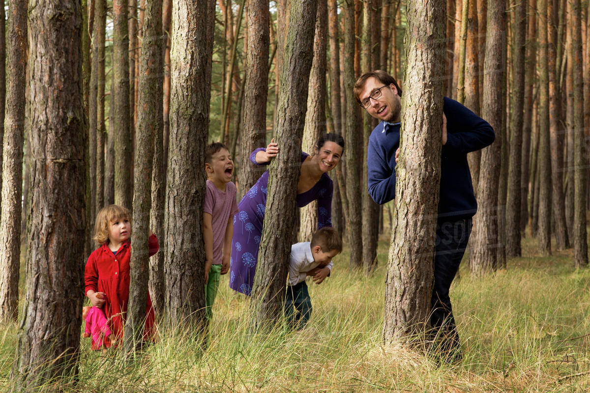 Happy family hiding behind tree trunks in forest - Stock Photo - Dissolve