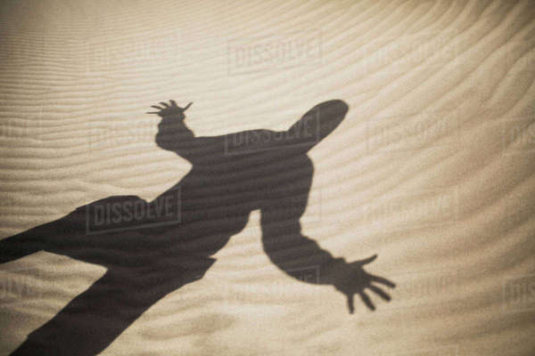 Shadow of man with arms outstretched on sand - Royalty-free Stock Photo ...