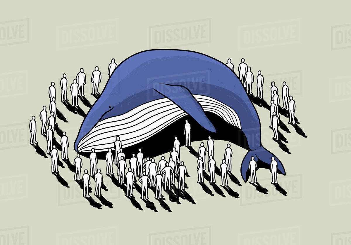Crowd surrounding beached whale - Royalty-free Stock Photo | Dissolve